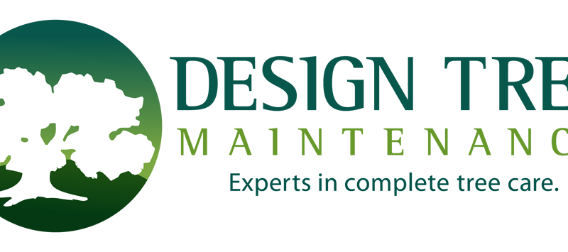 Design Tree Maintenance Inc - Tree Trimming & Removal Phoenix, AZ